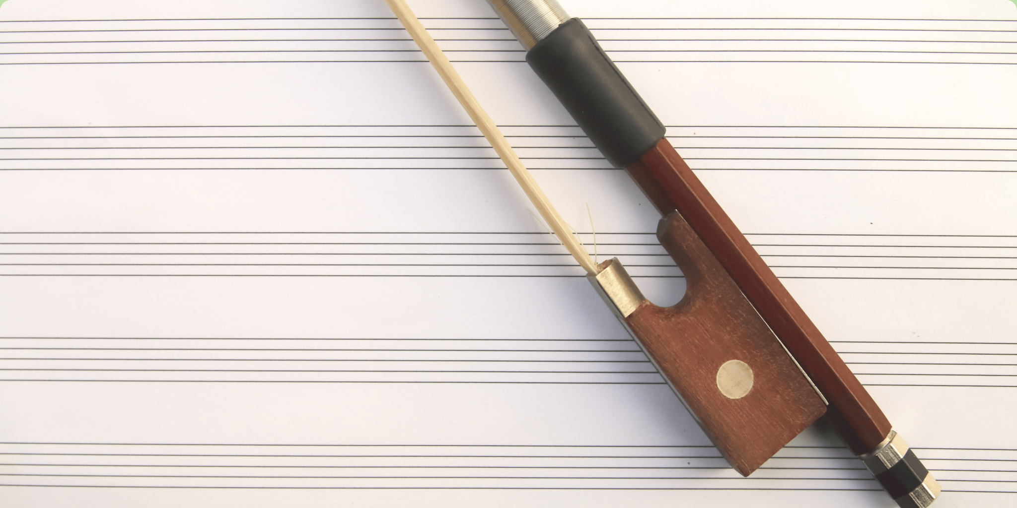 Ini Dia Bagian-Bagian Biola Yang Perlu Pemula Tahu!