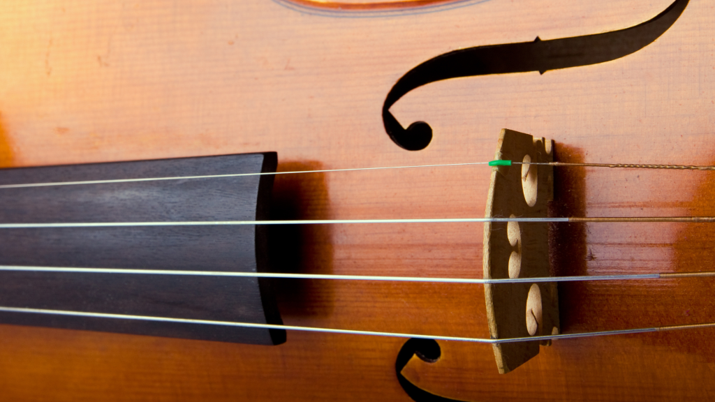 Senar Biola: Lebih dari Sekadar Kawat! - Javas Music School